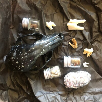 Tarantula Paw Bottle/pendant, Spider, Oddity, Preserved, Arachnid ...