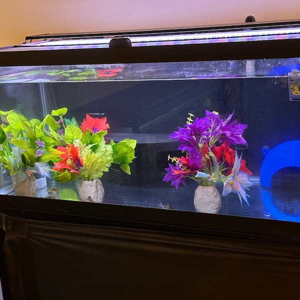 Aquarium Cave Half Dome Fish Tank Decoration, Axolotl Hide, Kuhli Loach ...