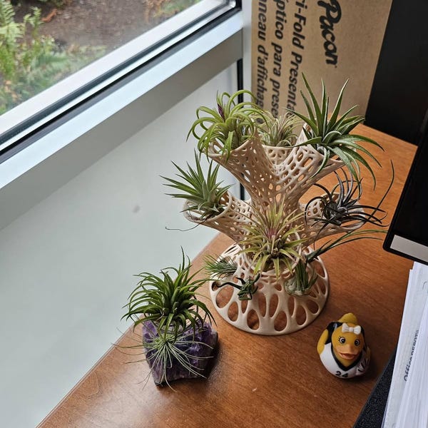 Voronoi Air Plant Holder: Modern Display Stand for 6 Plants - Etsy