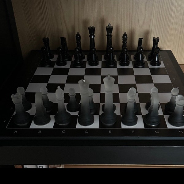 Handmade Chess Set, Monochrome Chess Set, Resin Chess Pieces, 11inch Personalized Chess Board ...