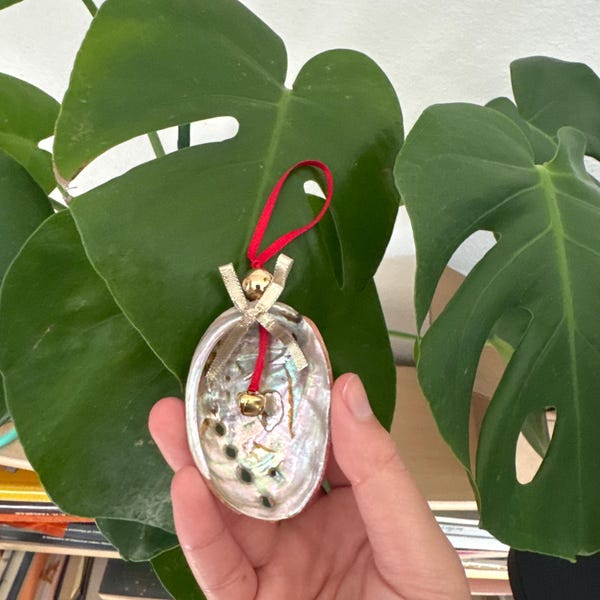 Red Abalone Art, Shell Wall Art, 3D Shell Art, Coastal Shell Art ...