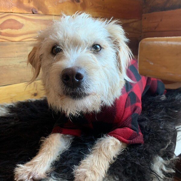 Sherpa Lined Flannel Adjustable Comfort Wrap Poncho Dog Coat Small ...