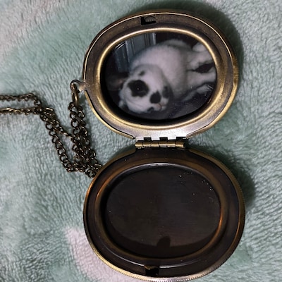 Watership Down Locket. Fiver and the Black Rabbit - Etsy