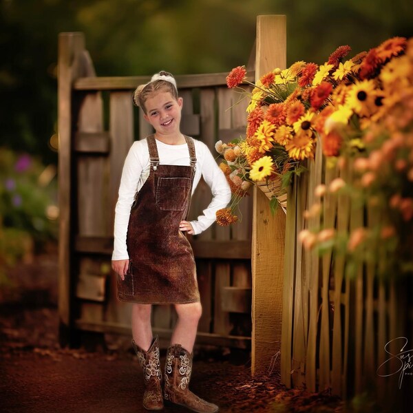 Fairy Wings Overlays, Photoshop Overlays. Magic Digital Wings , Sparkly ...