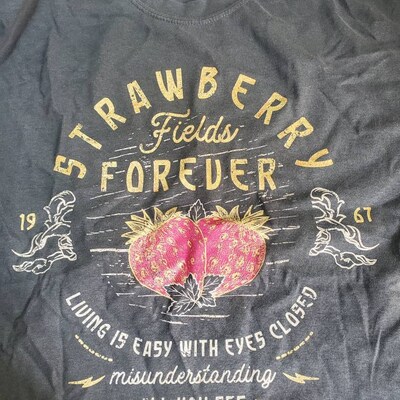 Free Bird Shirt, Comfort Colors Band Tshirt, Old School Band T-shirt ...