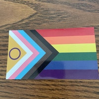 Heart Progress Pride Flag LGBTQ POC Transgender Flag Vibrant Color ...