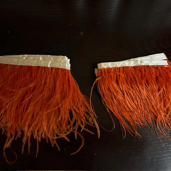 Super Long Feathers, 10 Pieces 20-28 Hot Pink Ostrich Feather Spads ...