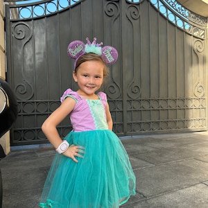 Sofia Minnie Ears Sofia Ears Princess Sofia Minnie Ears - Etsy