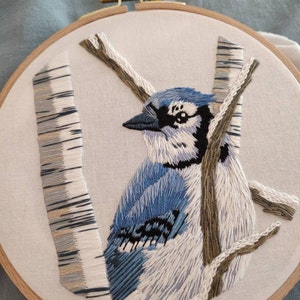 Blue Jay Embroidery Kit, Complete Kit, Detailed Instructions, DMC Floss ...
