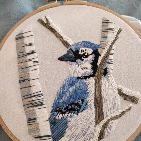 Blue Jay Embroidery Kit, Complete Kit, Detailed Instructions, DMC Floss ...