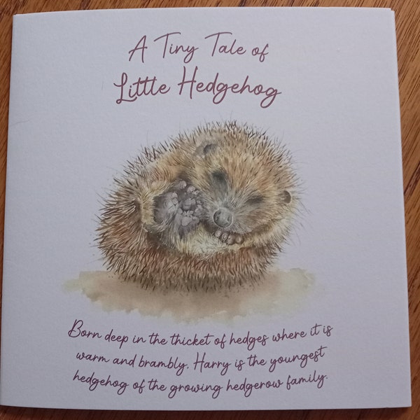 Hedgehog Card Robin Expanding Card Special Popup Card Robin Painting ...