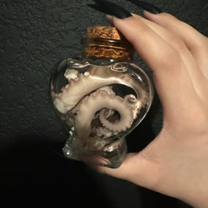 Vintage Medical Encyclopedia Dictionary Pages With Anatomy ...