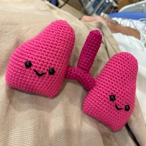 Anatomical Lungs Crochet Pattern PATTERN ONLY Instant DOWNLOAD ...