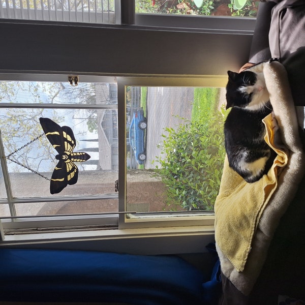 Labyrinth Worm Stained Glass Pattern - Etsy