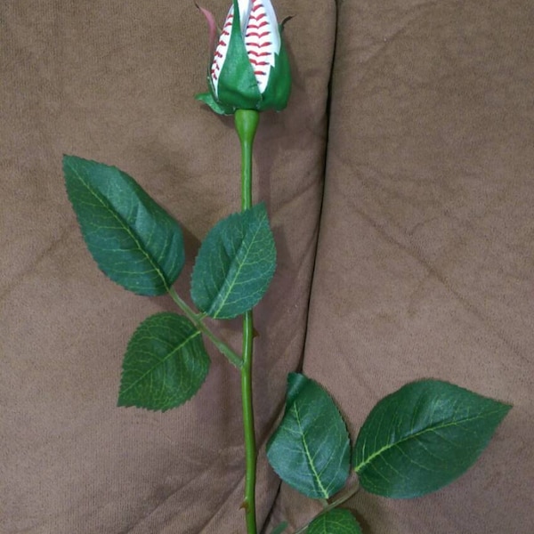 Baseball Sport Bud Roses - Etsy