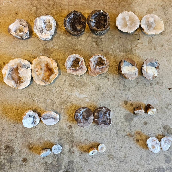 Large Premium Unopened Geode Variety Bag (8 Different Types of Geodes ...