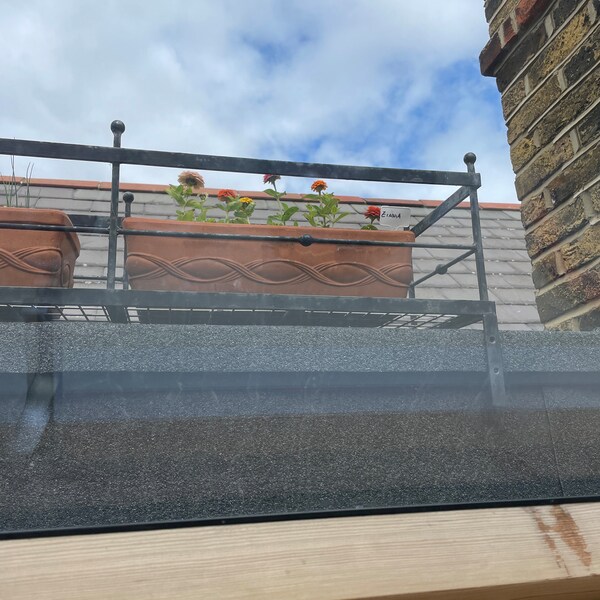 Asparagus Live Plants in 7cm Pots Ready to Plant Out! (connovers ...