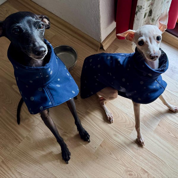 Sewing Pattern for Whippet Coat / Jacket / Waterproof - Etsy