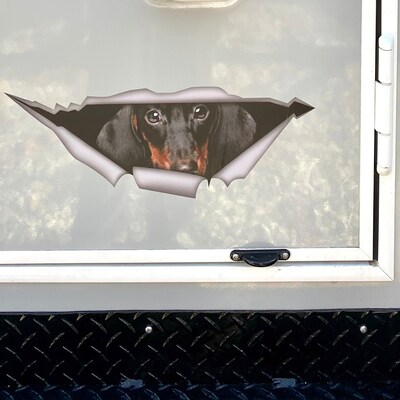 Labrador Decal Pet Decal Lab Decal Labrador Retriever Decal - Etsy