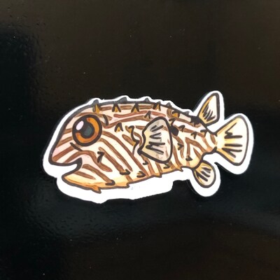 Matte Coated Vinyl Stickers 1 Zebra Moray Eel Great Gift - Etsy