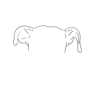 18 Cat Ear Line Drawing Clip Art and Stamps for Procreate - Etsy
