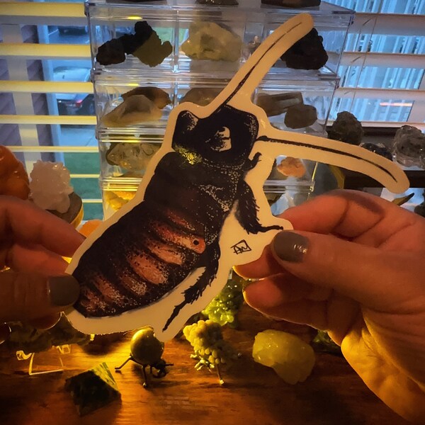 Isopod Bookmark - Block Print, Each One is Unique! - Etsy