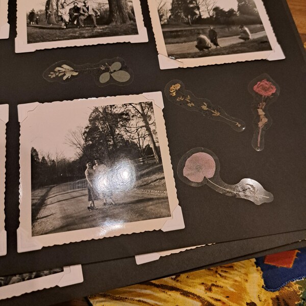 10 Vintage Frame Stickers Large Frames Flat Finish Gold Brown White ...