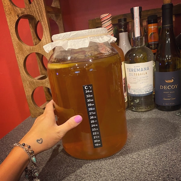 Kombucha Starter Kit- EVERYTHING You Need to Make Your First Batch of ...