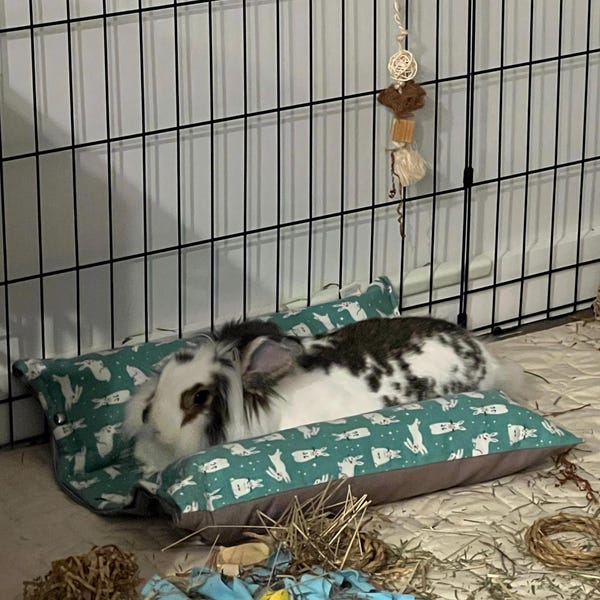 Seagrass Mat Replacements for Enrichmat™ | Snuffle Mat | Foraging ...