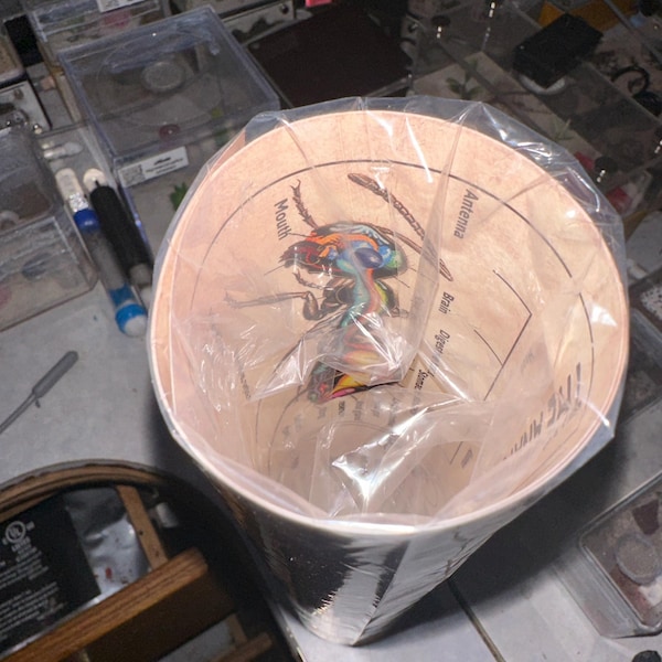 Types of Dragon Knowledge Art Print, Dragon Knowledge Decor, Vintage ...