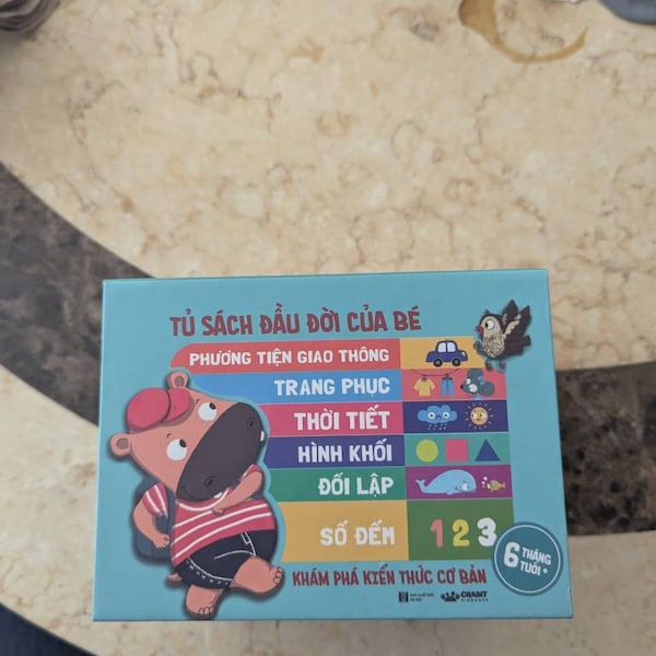 Boxset 8 Bilingual Pictionary Vietnamese English Boardbooks| Your ...