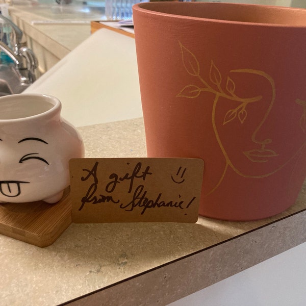 Botanical Line Drawing Hand Painted Pot | Gold Face Pot | Terracotta ...