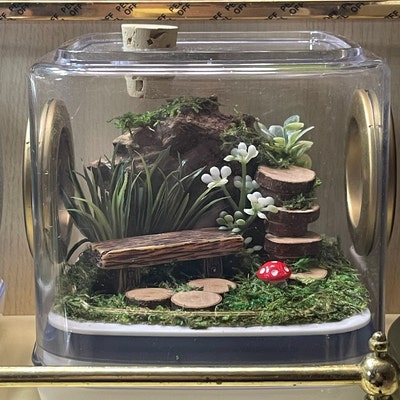 Mini Beach Scene in Clam Shell Mini Ocean Scene Sea Turtle - Etsy