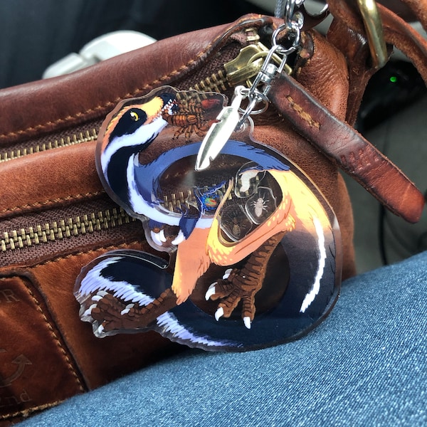 Shaker Keychain - Dinosaur Belly - Etsy