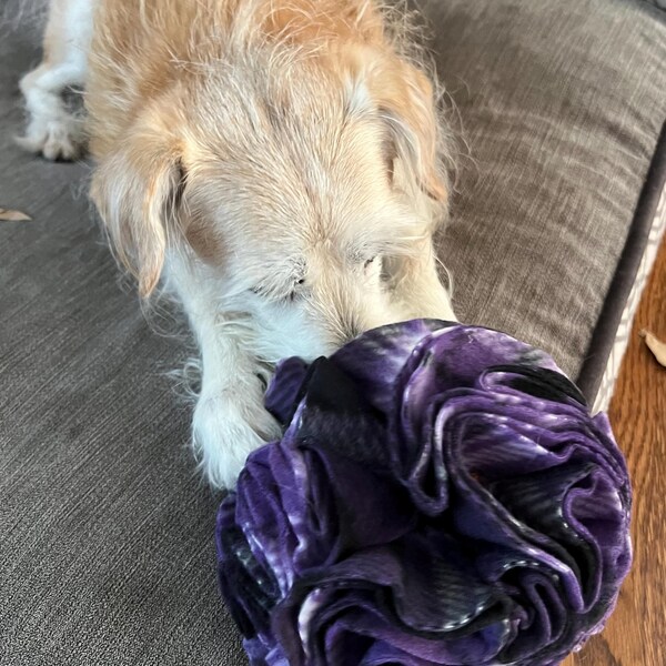 Snuffle Ball, Treat Dispenser, Treat Ball, Canine Enrichment, Keep Dogs ...