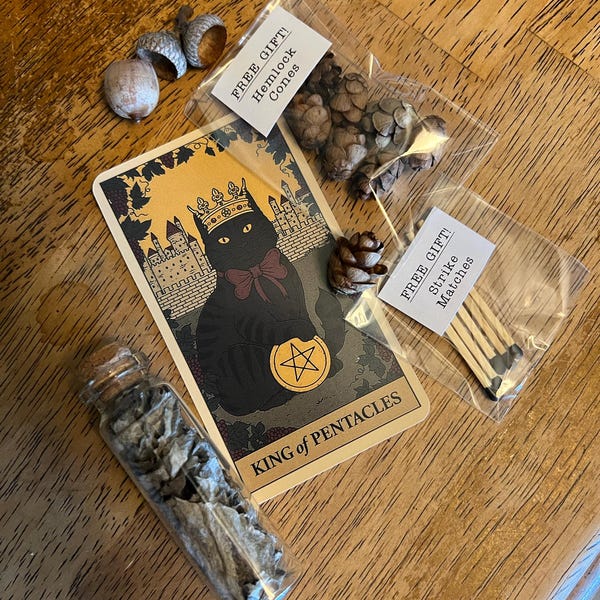 Real Moose Pellet in Glass Vial, Moose Poop, Animal Dung, Weird Gift ...