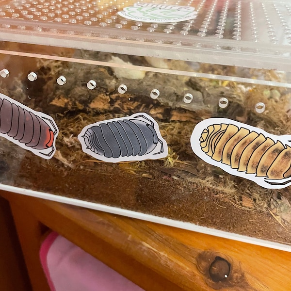 Iso-harvest, Isopod Food, Isopod Treat, Premium Bug Food, Insect Food ...