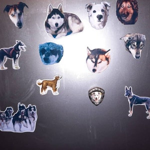 Custom Pet Magnets Cute Animal Magnets Decorative Magnets Dog Cat Lover ...