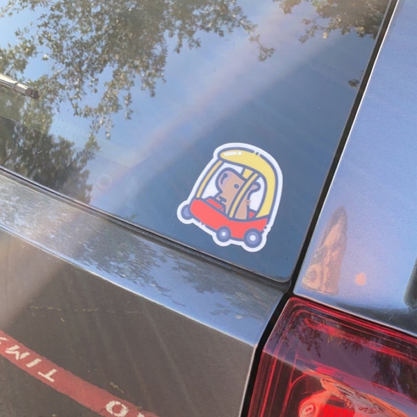 Capybara Car Sticker - Etsy