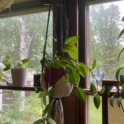 Macrame Pant Hanger, Flower Petal, Leafe Pattern Macrame Plant Hanging ...