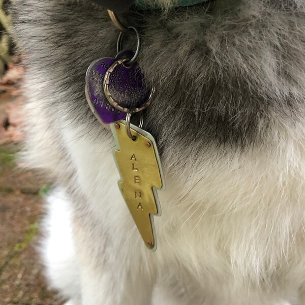 Lightning Bolt Pet Tag - Etsy