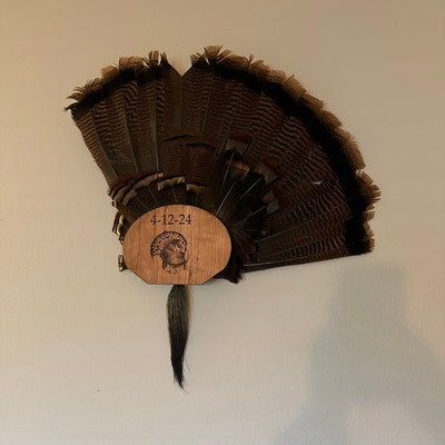 4 Fan Turkey Fan Display With 20 Beard Shelf With 5 Plaque Styles - Etsy