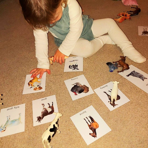 FARM ANIMALS • 22 Editable Montessori Cards • Flash Cards Nomenclature ...