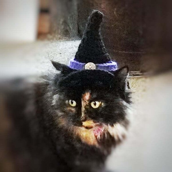 Crochet Pattern: Witch Hat for Cats, PDF Instructions for Cat Witch Hat ...