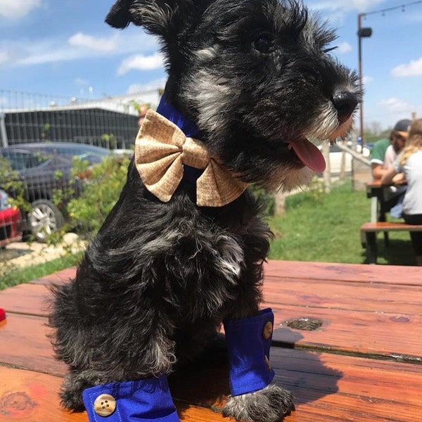 Broken Luck by Shannon Morse - Etsy