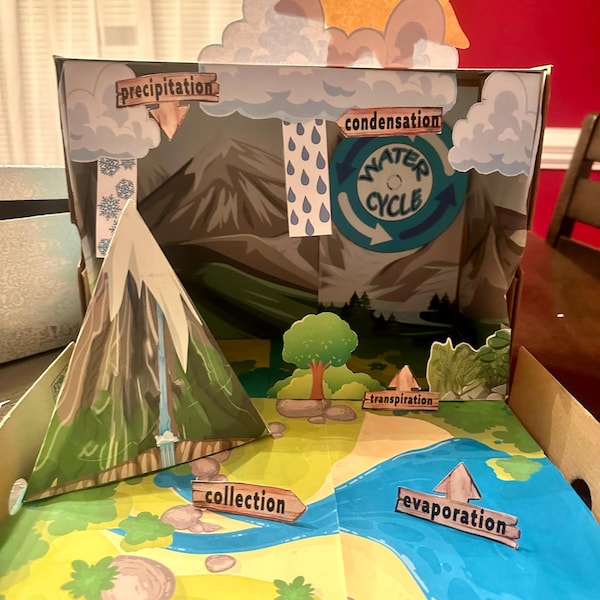 Shoebox Water Cycle Diagram Diorama, Create Your Own Papercraft Water ...