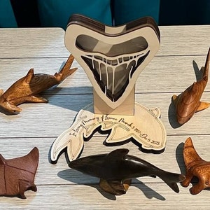 Shark Teeth MEGALODON Shadow Box for Shark Teeth, Small Shells, Fossils ...