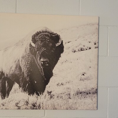 Custom Bison Print Set of 3, Western Prints, Bison Print, Buffalo Wall ...