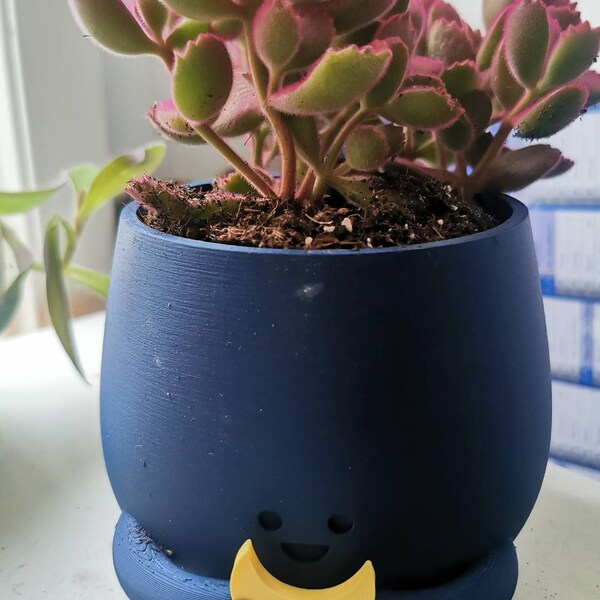 Plant Pot Happy Face Cosmic Star and Moon Universe Galaxy Decor Indoor ...