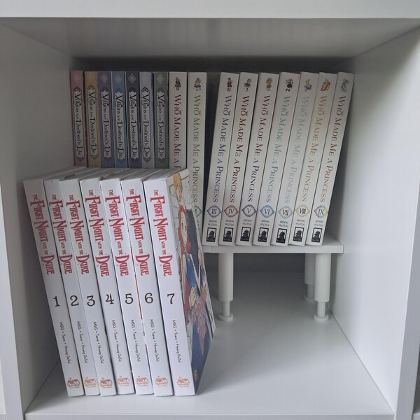 Shelf Riser for Displaying Two Rows of Books on a Single Shelf ...